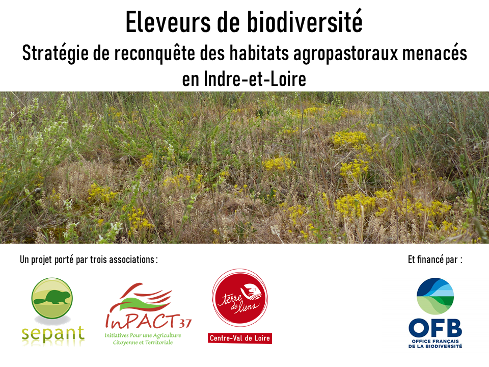 Page d'accueil - Cartes interactives de la SEPANT